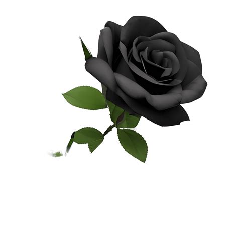 Long Stemmed Black Rose Photograph · Creative Fabrica