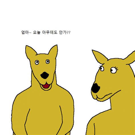 캥거루가 딸치다 엄마한테 걸리는 만화 짤툰