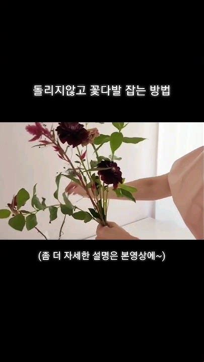 플로리스트 기본 중에 기본 Shorts플라워레슨꽃다발만들기플로리스트꽃수업꽃레슨꽃선물꽃다발플로리스트기초화훼장식