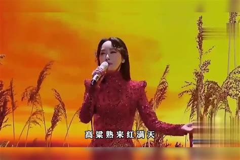 5位国家队女高音，同唱一首《九儿》，你认为谁把九儿送的最远呢女高音