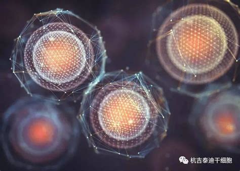 10项研究证实：干细胞移植可改善乙型肝炎肝硬化的肝功能及肝纤维化减少 知乎