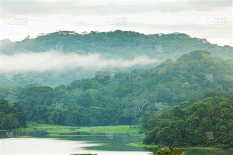 雨林早晨亚马孙洲亚马孙雾云景热带雨林湖河流热带树