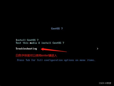Linux的故障修复linux系统修复 Csdn博客