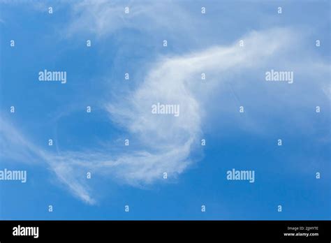 Cirrus Cumulus White Clouds Blue Sky Background Nature Wind Weather