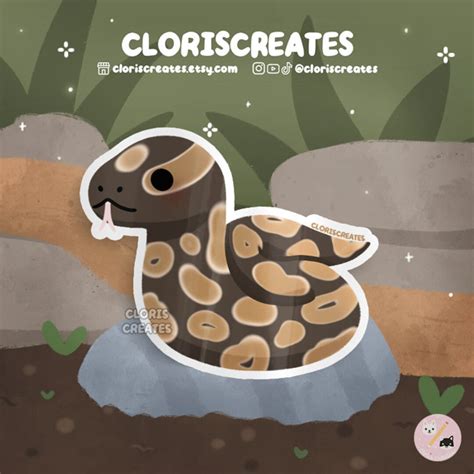 Cinnamon Ball Python Snake Waterproof Vinyl Sticker Kawaii Chibi