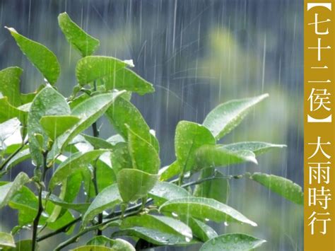 【大雨時行】夕立からゲリラ豪雨へ、変化する大雨の規模 ウェザーニュース