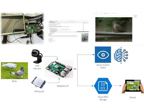 Bird Detector Based On Microsoft Azure And Raspberry Pi