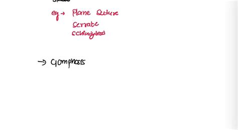Solved Define Suture Gomphosis And Syndesmosis And Explain What