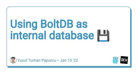 using boltdb as internal database 💾 r devto