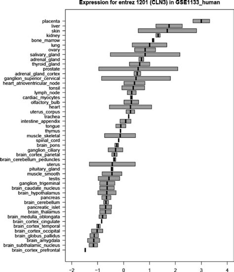 The Cln3 Gene And Protein What We Know Pmc
