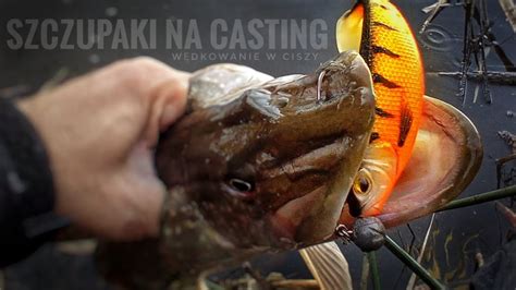 Szczupaki Na Casting YouTube