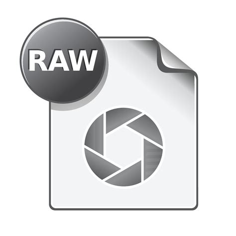 raw file format icon in color data computer information 38029772