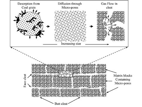 Migration Process Of Methane Gas In The Coal Matrix Valliappan And
