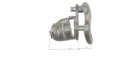 Download Stl File Male Chastity Device Cock Cage Penis Ring Virginity