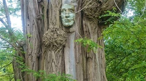 Interpretable Machine Learning Coursera