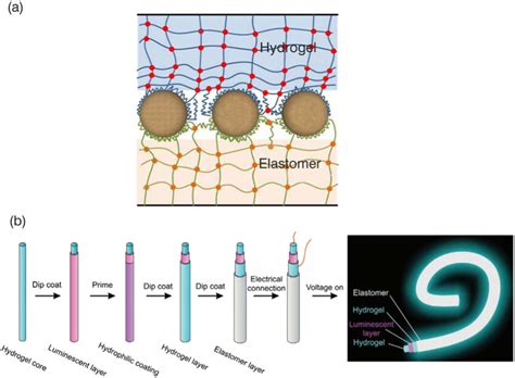 A Nanoparticles Improve The Adhesion Between Elastomer And Hydrogel