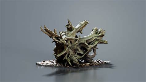 Intricate Tree Root Stump 3d Model By Polygonal Miniatures