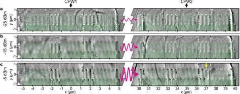Nonvolatile Storage Of Spin Wave Signals Over Macroscopic Distance Mfm Download Scientific