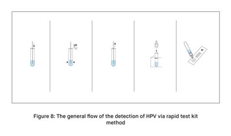 What Is Human Papilloma Virus Hpv That Causes Cervical Cancer Which