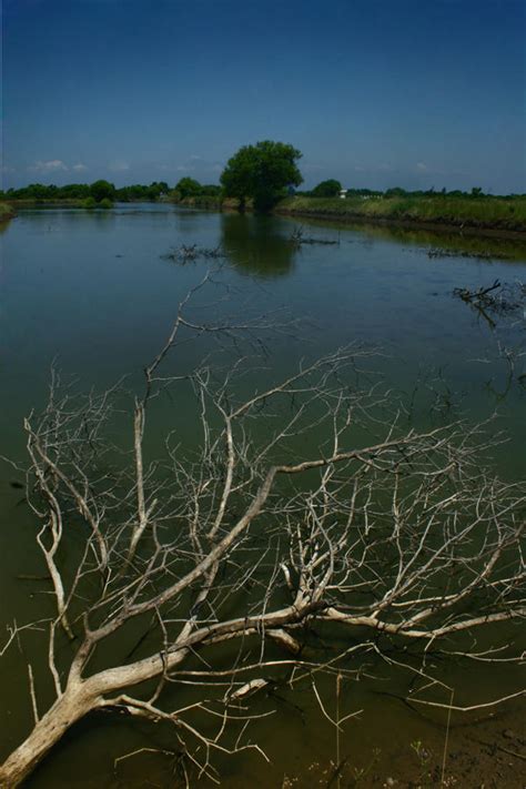 Bosem Wonorejo Part4 By Savyconqueror On Deviantart