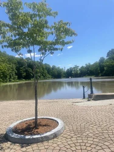 Best Walking Trails In Springfield Alltrails