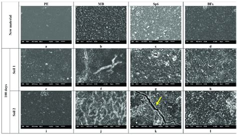 Sem Micrographs Corresponding To Pe Mb Sp6 And Bfx In New Materials