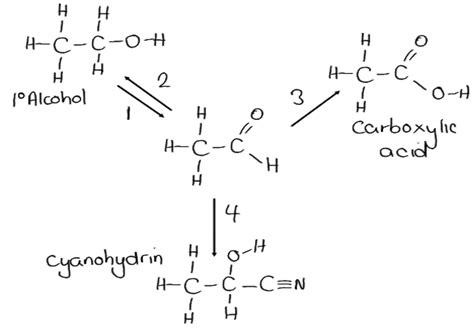 Diagram Of Aldehydes Quizlet