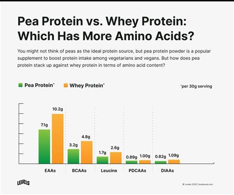 Pea Protein Vs Whey Protein The Differences Explained