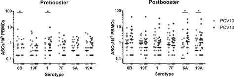 Comparative Analysis Of Serotype Specific Plasma Cell Responses In 10