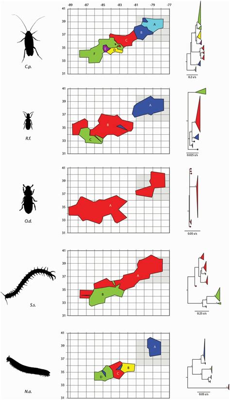 The Number And Distribution Of Spatial Genetic Clusters And Download Scientific Diagram