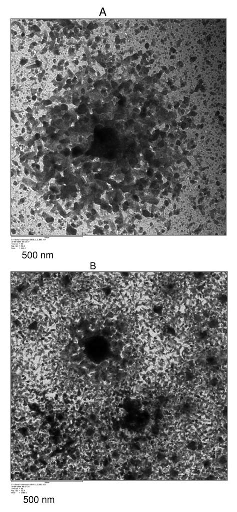 Transmssion Electron Micrographs Of Fe3o4 Magnetic Nanoparticles A Download Scientific
