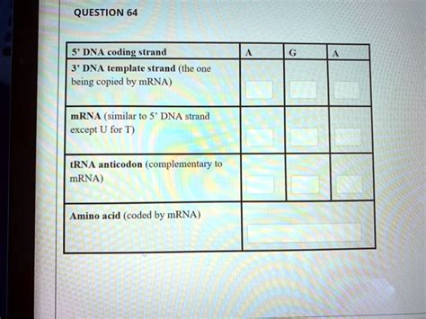 Solved Question 64 5 Dna Coding Strand 3 Dna Template Strand The