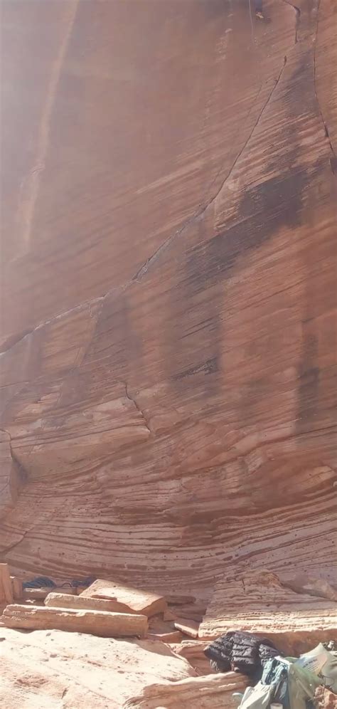 Rabble Rabble Helmet Rabble Rabble Hard Catch I Volunteer As Tribute For The Perfectly