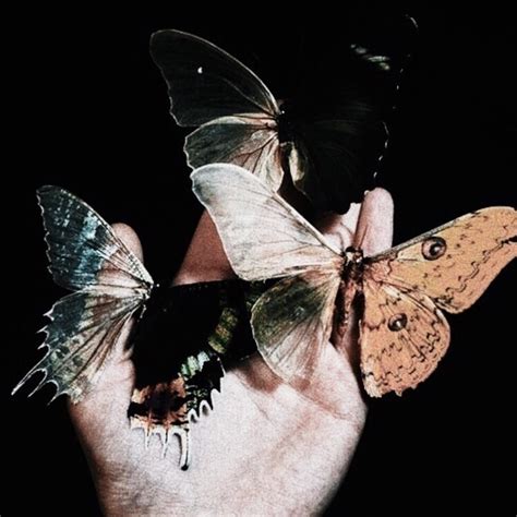 Yung Gaze Typhoon Lyrics Genius Lyrics