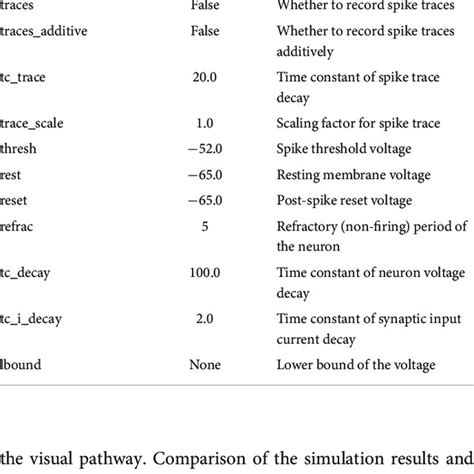 Default Parameters Of Current Based Lif Neuron Download Scientific