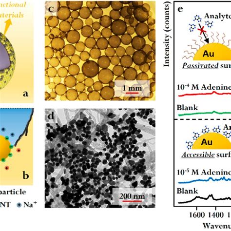 A Schematic Illustration Of The Formation Of Surface Accessible Download Scientific Diagram