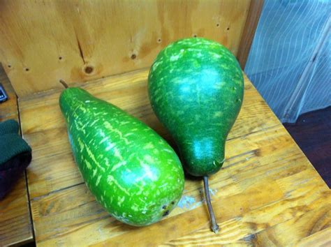 박 바가지 만들기 네이버 블로그