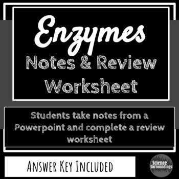 Enzyme Notes Powerpoint And Review Worksheet By Science Surroundings