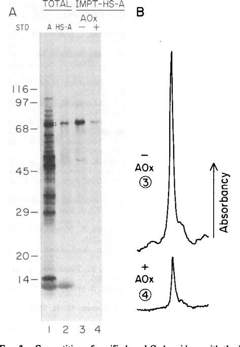figure 3 from cloning of cdna coding for peroxisomal acyl coa oxidase