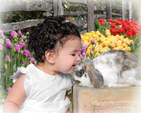 Glendale And Brea Easter Photography Photo Perfections