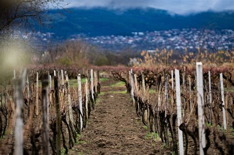 კახეთის მხარე კახეთის მხარე Added A New Photo