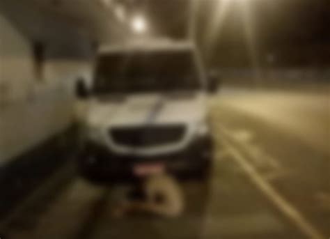 Homem é flagrado dormindo pelado no meio da rua em SC Notícia Hoje