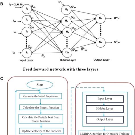 A Structure Of ANN B Feedforward Network With Three Layers C