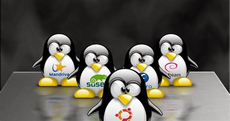 Cara Membuat Shell Programming Pada Linux Materi Belajar