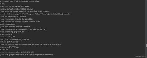 Jvm故障处理工具，使用总结jmap Histo Pid Csdn博客