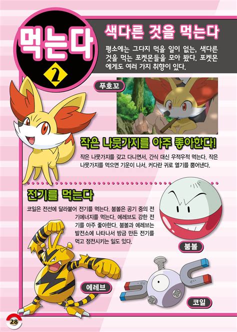 알라딘 미리보기 포켓몬스터 Xyandz 신장판 포켓몬 비교도감