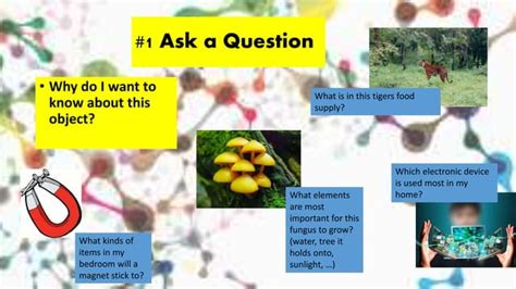 Scientific Method Ppt Ppt