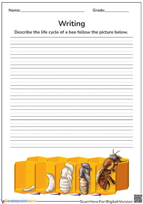 Science Worksheets Writing The Life Cycle Of A Bee Science
