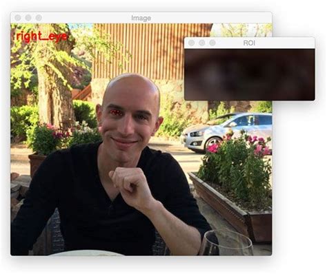 detect eyes nose lips and jaw with dlib opencv and python