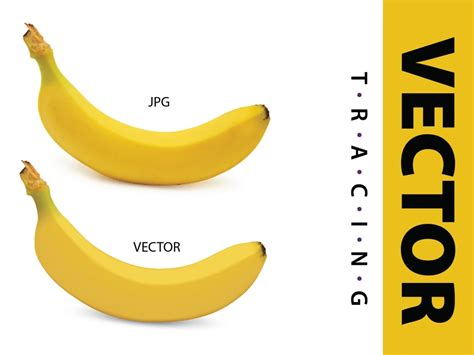 Vector Files Ai Eps Pdf Svg From Your Logo Or Images Upwork